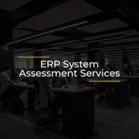 ERP Assessment Services | AlphaBOLD